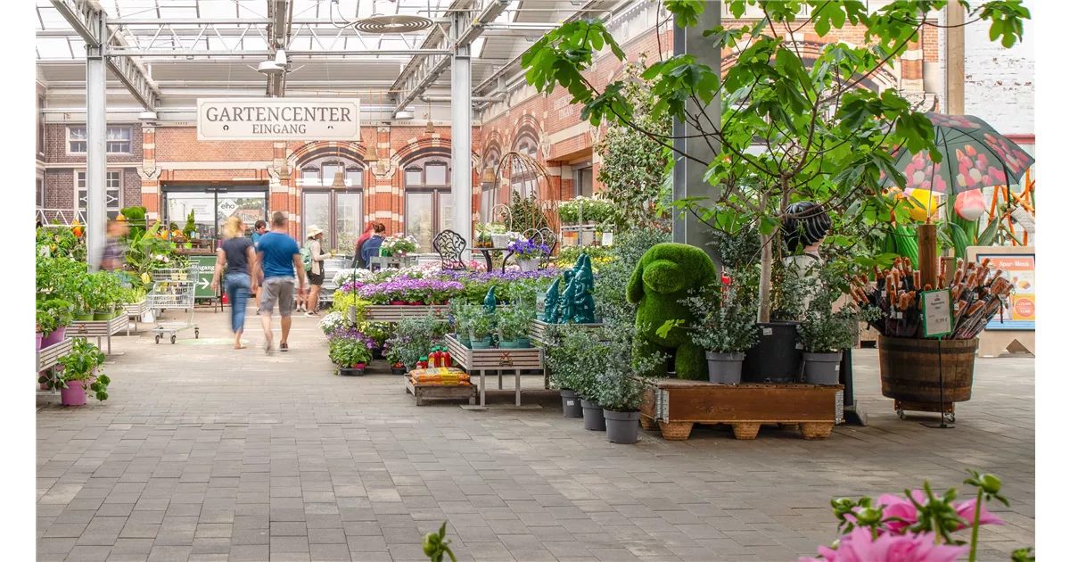 Groe Gartencenter In Holland